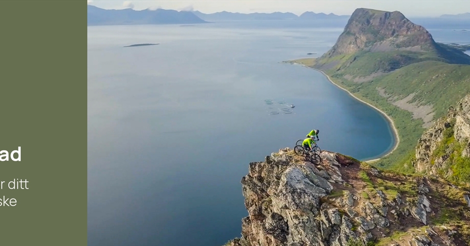 Reise til Harstad med båt - VisitHarstad.no
