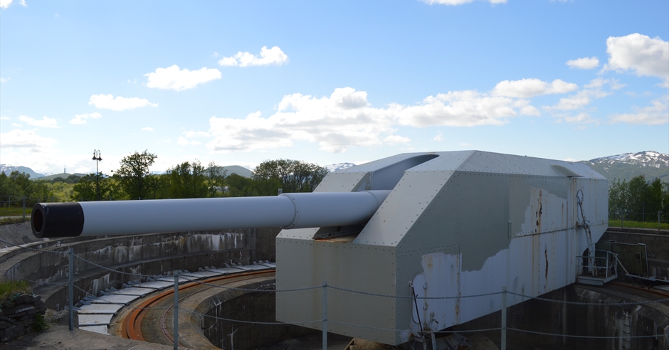 Adolfkanonen sightseeing - Sightseeing in Harstad, Harstad - Harstad